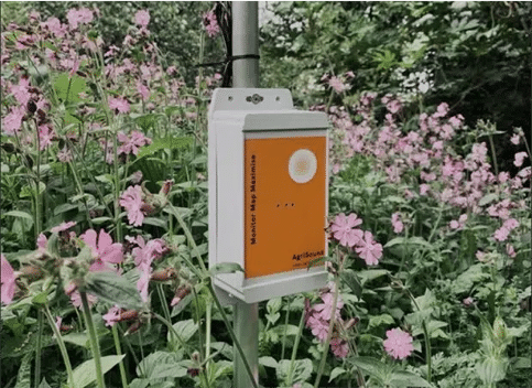 Envisioning a More Sustainable Future, Step by Step - Interconnections ...