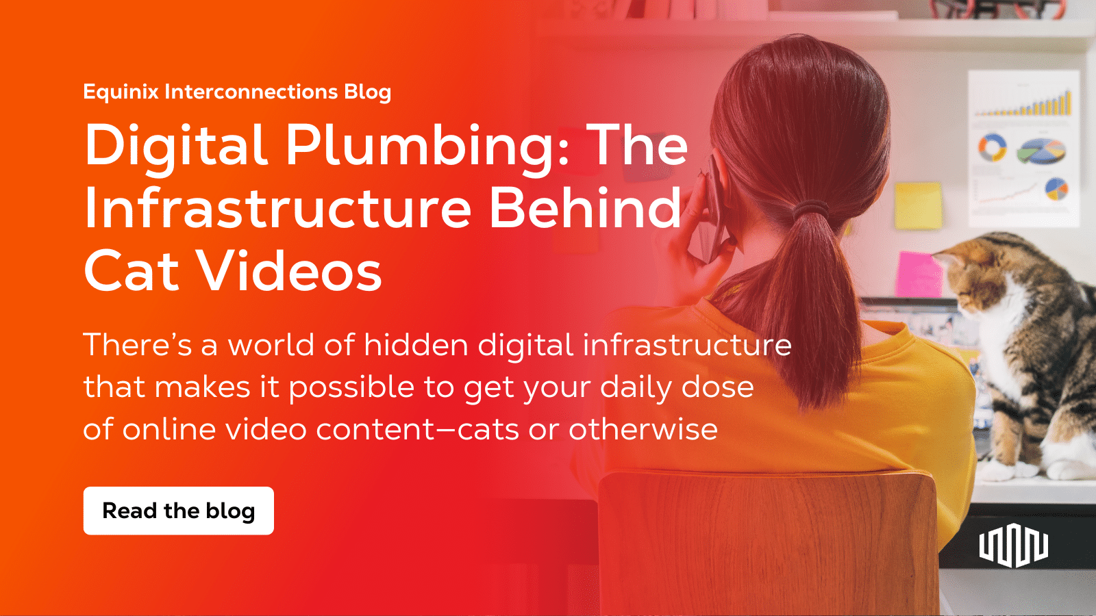 Digital Plumbing: The Infrastructure Behind Cat Videos - Interconnections - The Equinix Blog